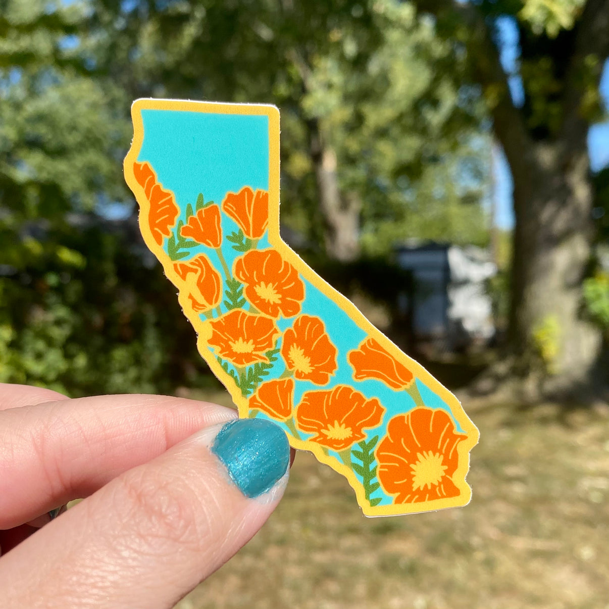 California Poppy - 3" Vinyl Sticker – Lil Boat Boutique